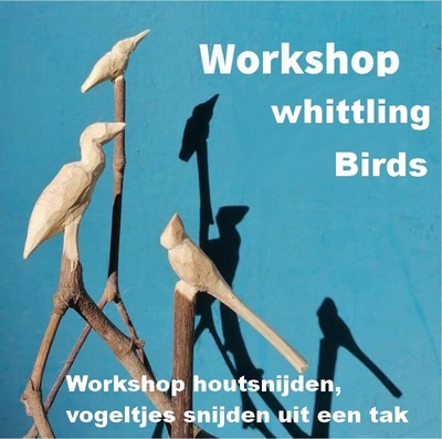 Activiteit details - De Volharding